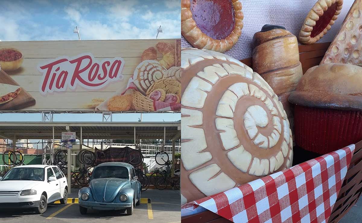 datos-curiosos-sobre-la-planta-de-tia-rosa-en-toluca-1 – EDOMEX AHORA ...